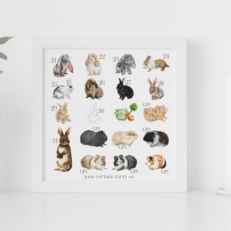 Rabbit Loss Memorial Card Rainbow Bridge Pet Loss Card Animal - Etsy