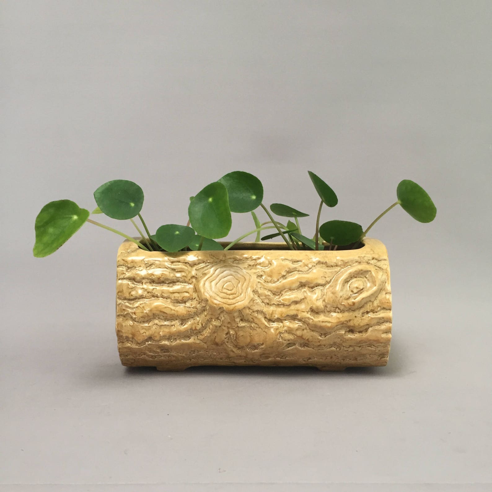 Ceramic log planter | Etsy