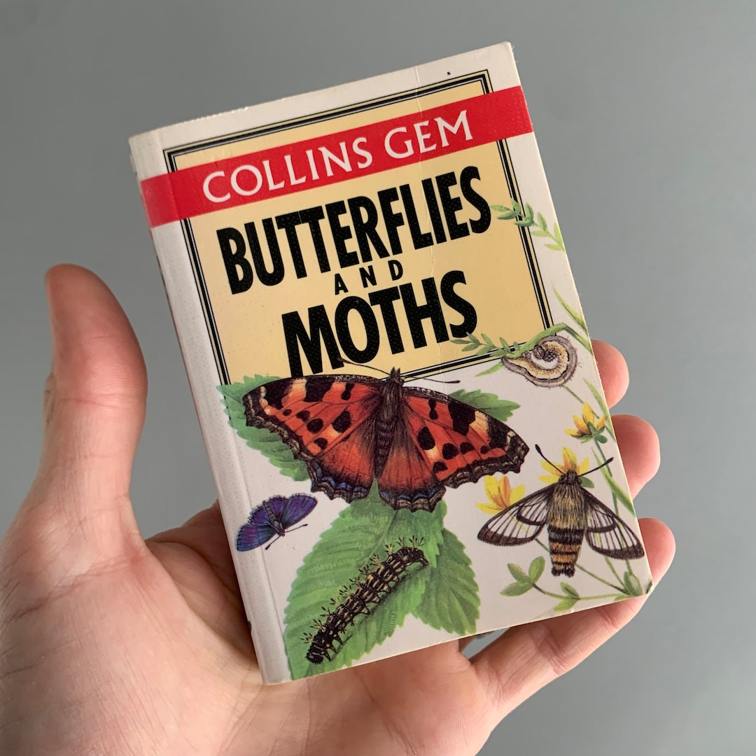 Butterflies and Moths Pocket Field Guide - Etsy