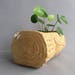 Ceramic Log Planter - Etsy