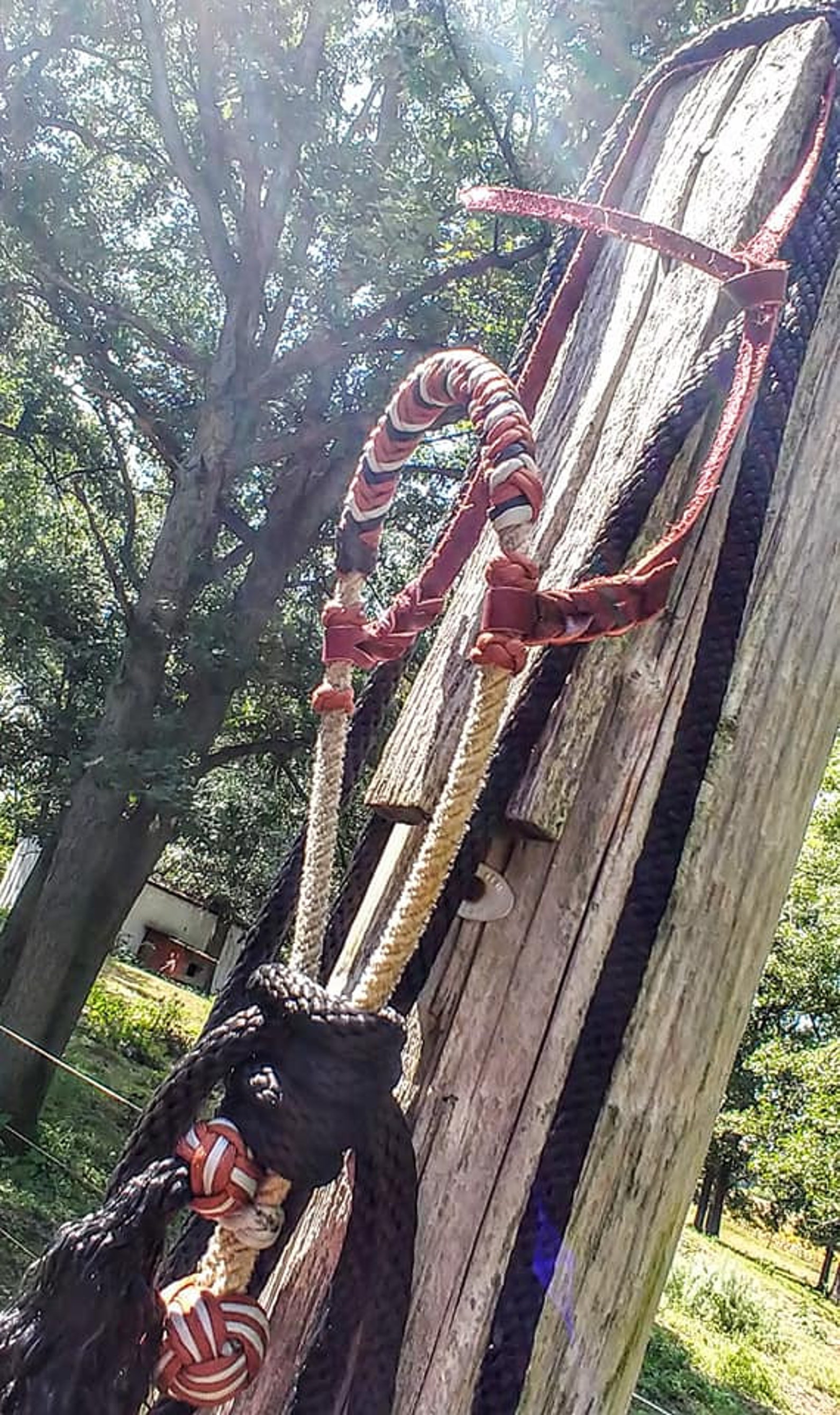 Lariat Bosal With Braided Nose and Heel Knot Bosal Only | Etsy