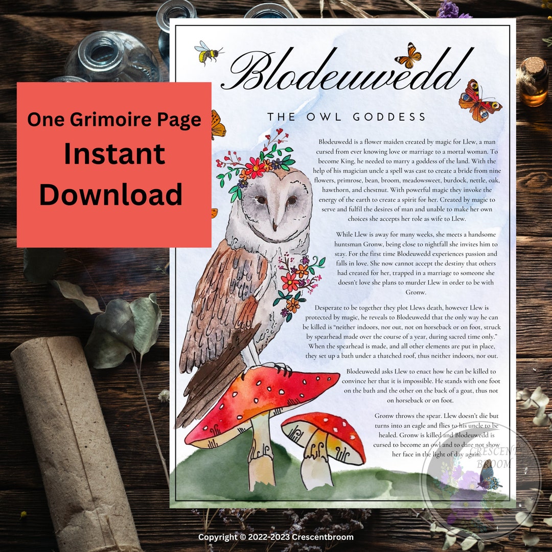 Blodeuwedd Grimoire Page Blodeuwedd Book of Shadows Owl - Etsy
