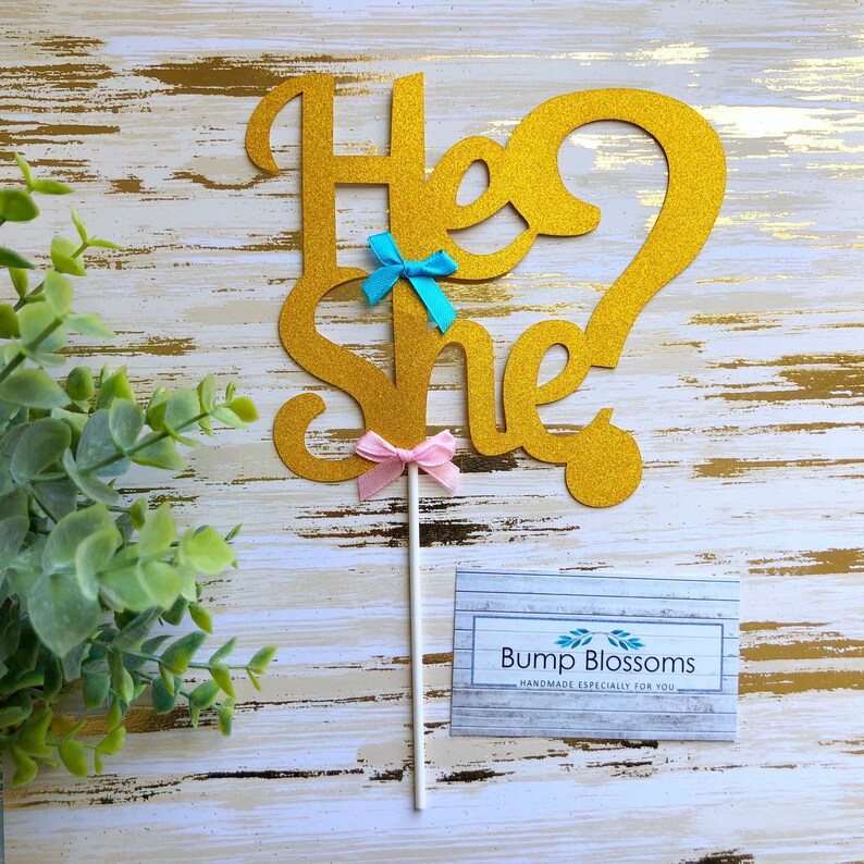 Stashes or Lashes Gender Reveal Maternity Sash Sashes or | Etsy