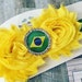 Brazil Headband Brazil Theme Headband World Cup Headband - Etsy