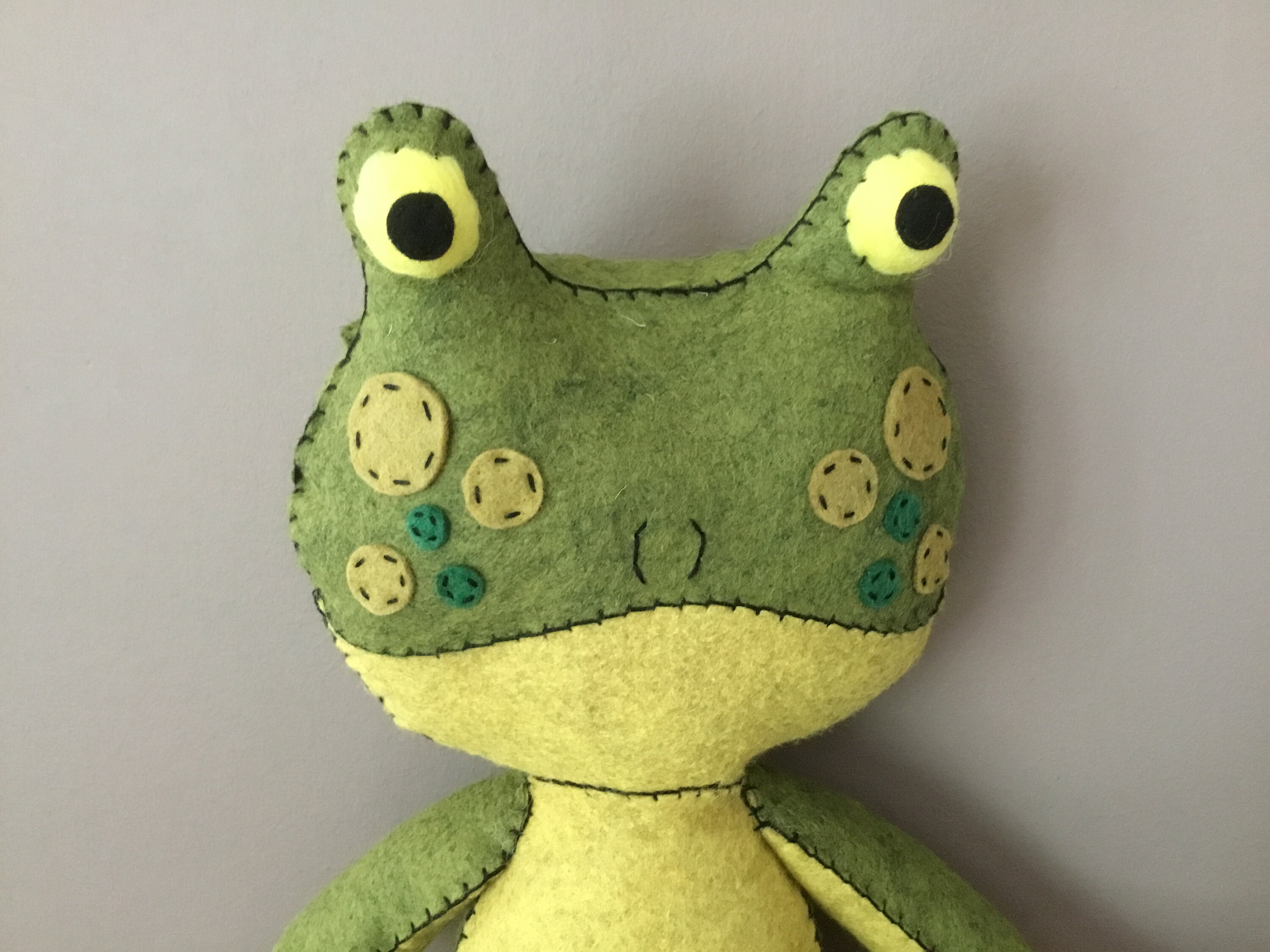 The Freckled Frog hand stitched in felt | Etsy