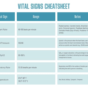 Nursing Vital Signs Cheatsheet - Etsy