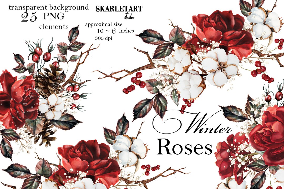Winter Roses Clip Art, Floral Clip Art, Cotton Clip Art, Floral Planner ...