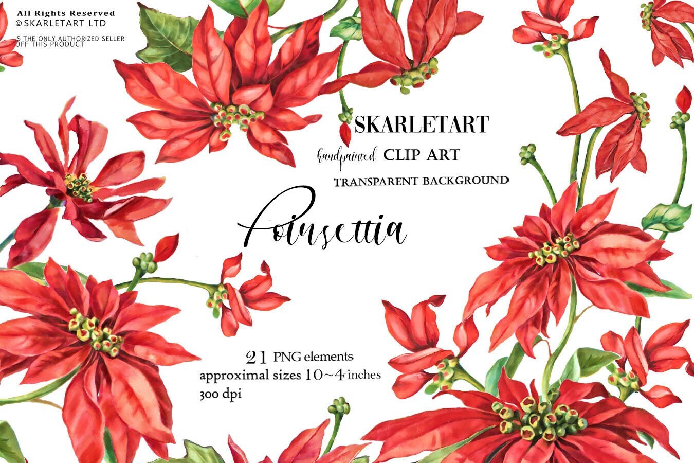 Winter Clipart Christmas Clipart Poinsettia Flowers Clipart - Etsy