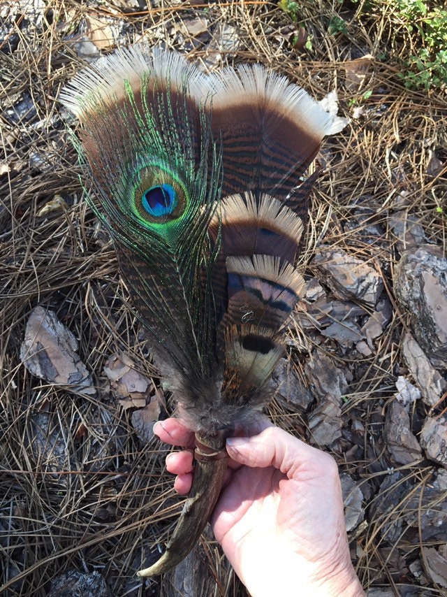 Ceremonial Smudge Fan with Mule Deer Antler Handle and Tail Feathers of ...