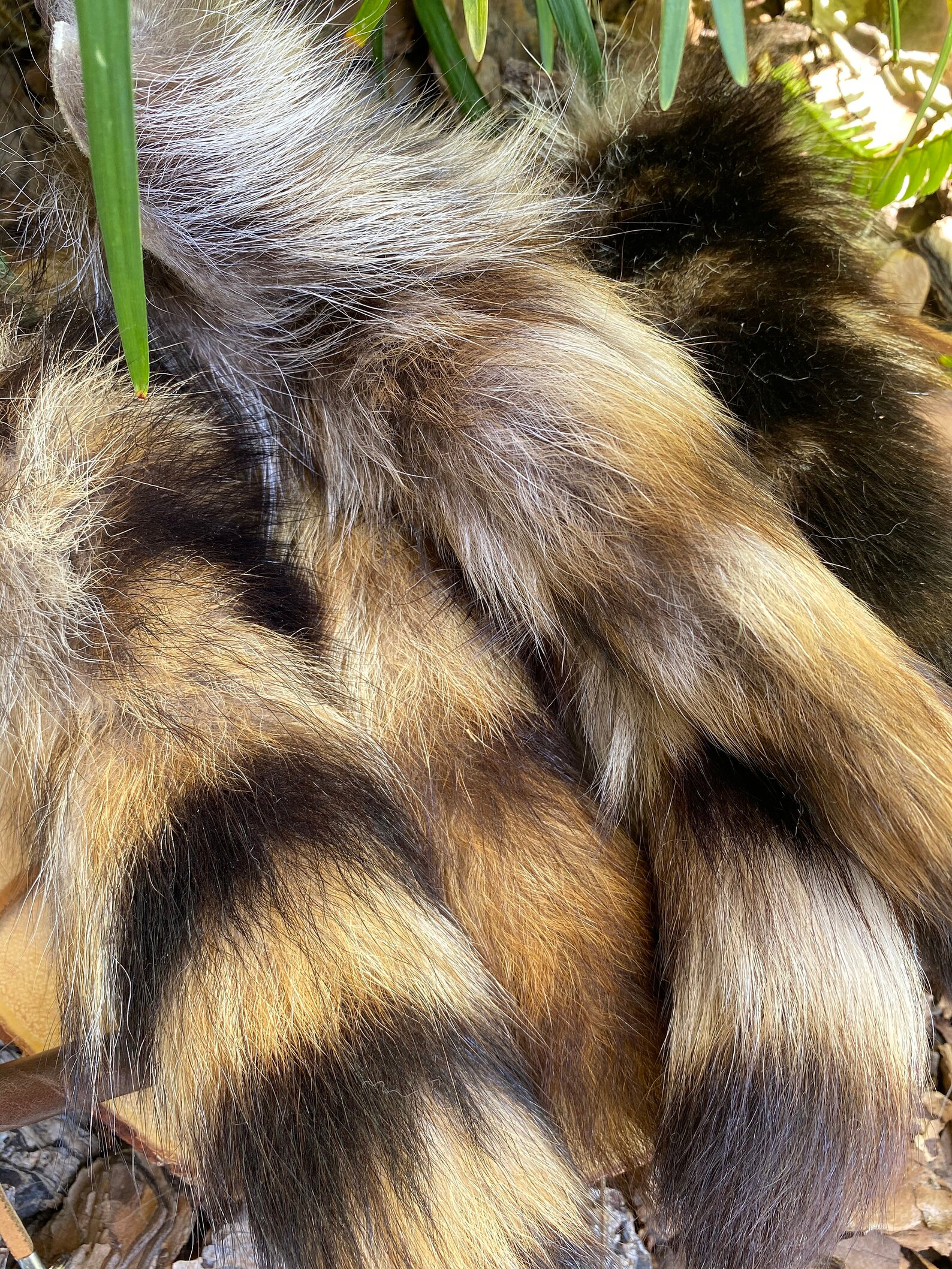 Raccoon Tail Cuddle Carry and Kick Cat Toy - Etsy