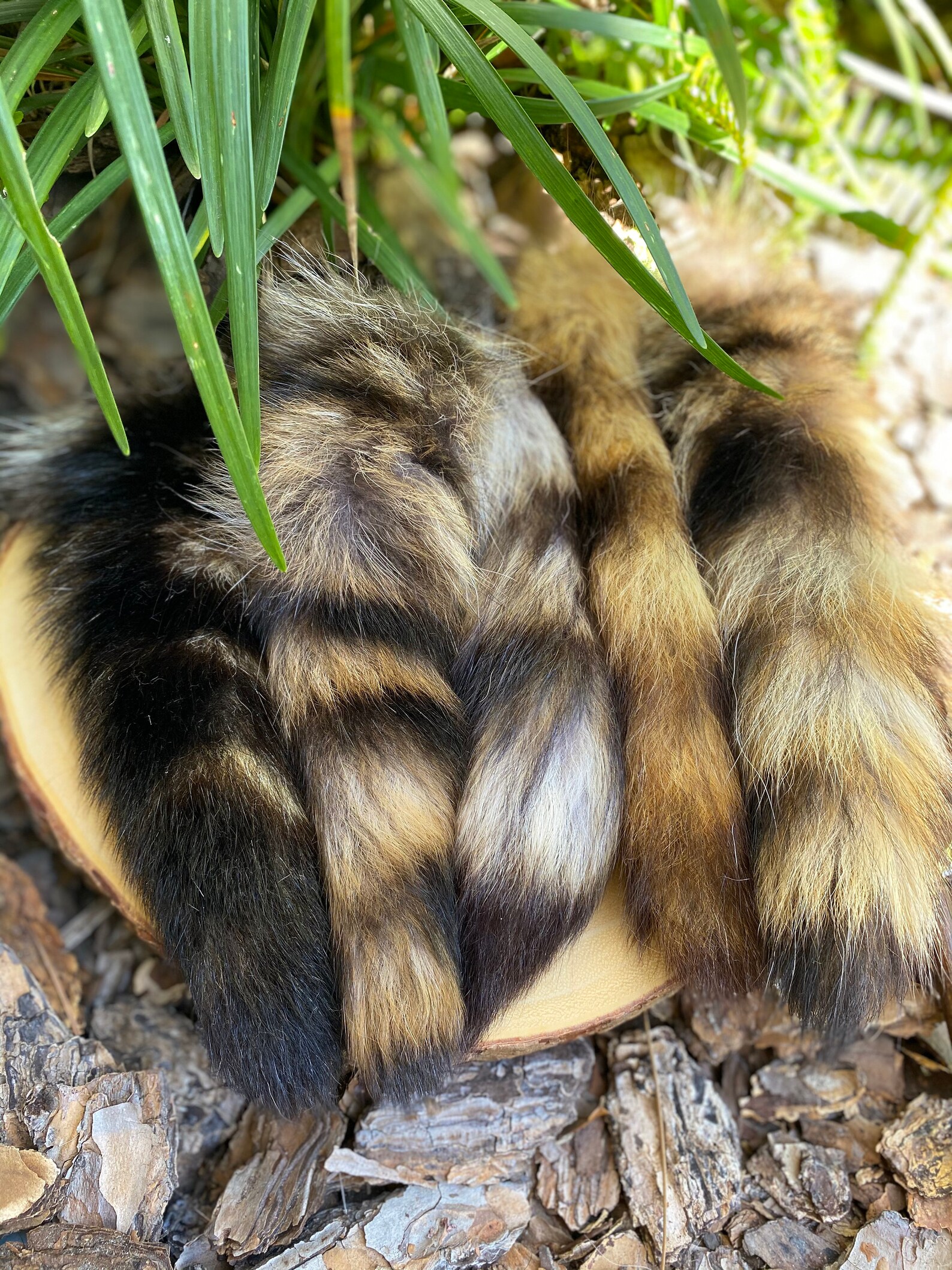 Raccoon Tail Cuddle Carry and Kick Cat Toy - Etsy