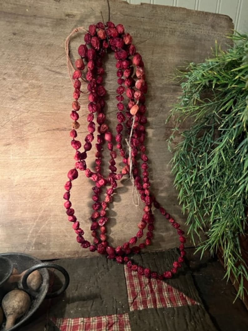 Primitive Real Dried 10 Ft. Cranberry Garland Long Early Look RED ...