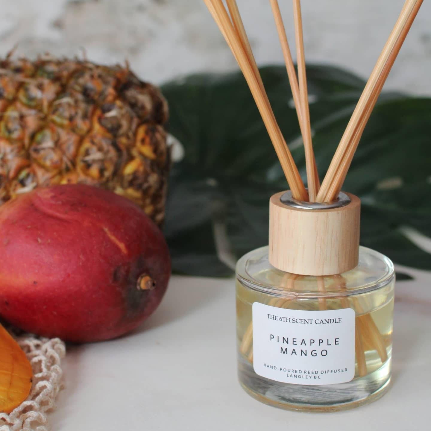 Reed Diffuser Flameless Candle Scented Space Summer | Etsy