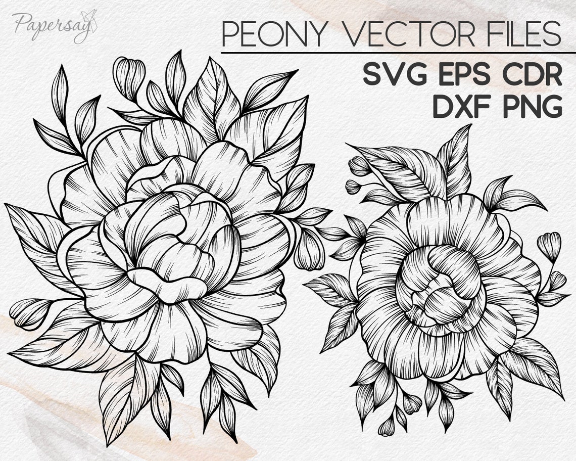 Peony Vector Set SVG EPS CDR Dxf Png Flowers Clip Art - Etsy Canada
