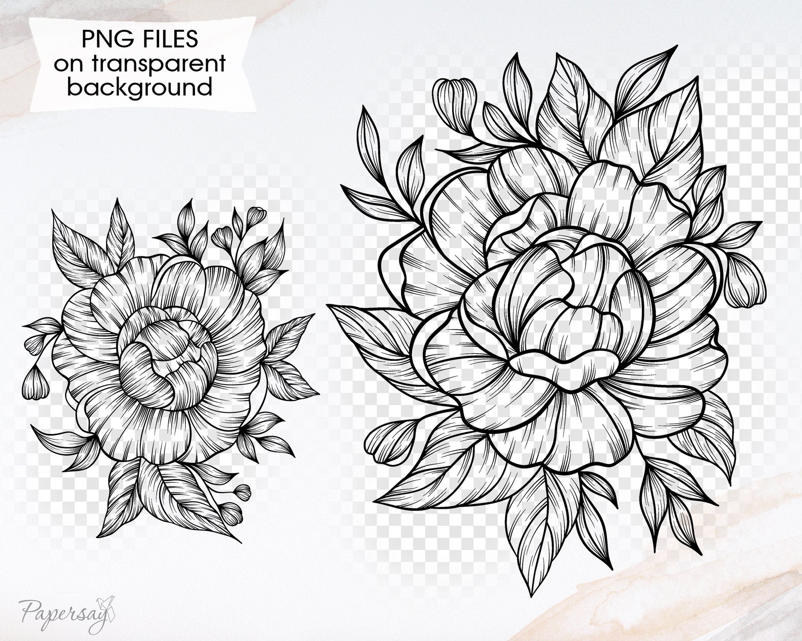 Peony Vector Set SVG EPS CDR Dxf Png Flowers Clip Art - Etsy Canada