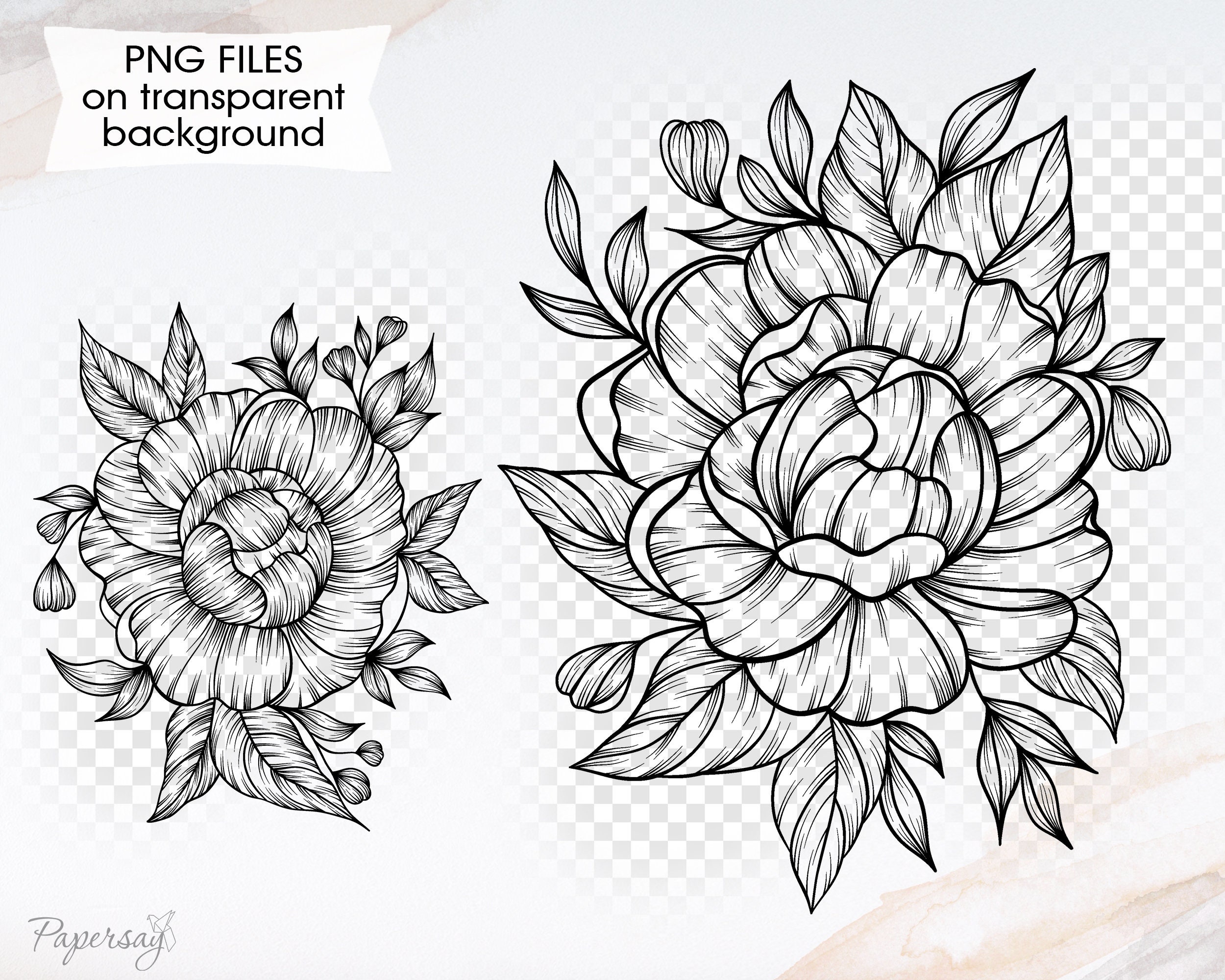 Peony Vector Set SVG EPS CDR Dxf Png Flowers Clip Art - Etsy Canada
