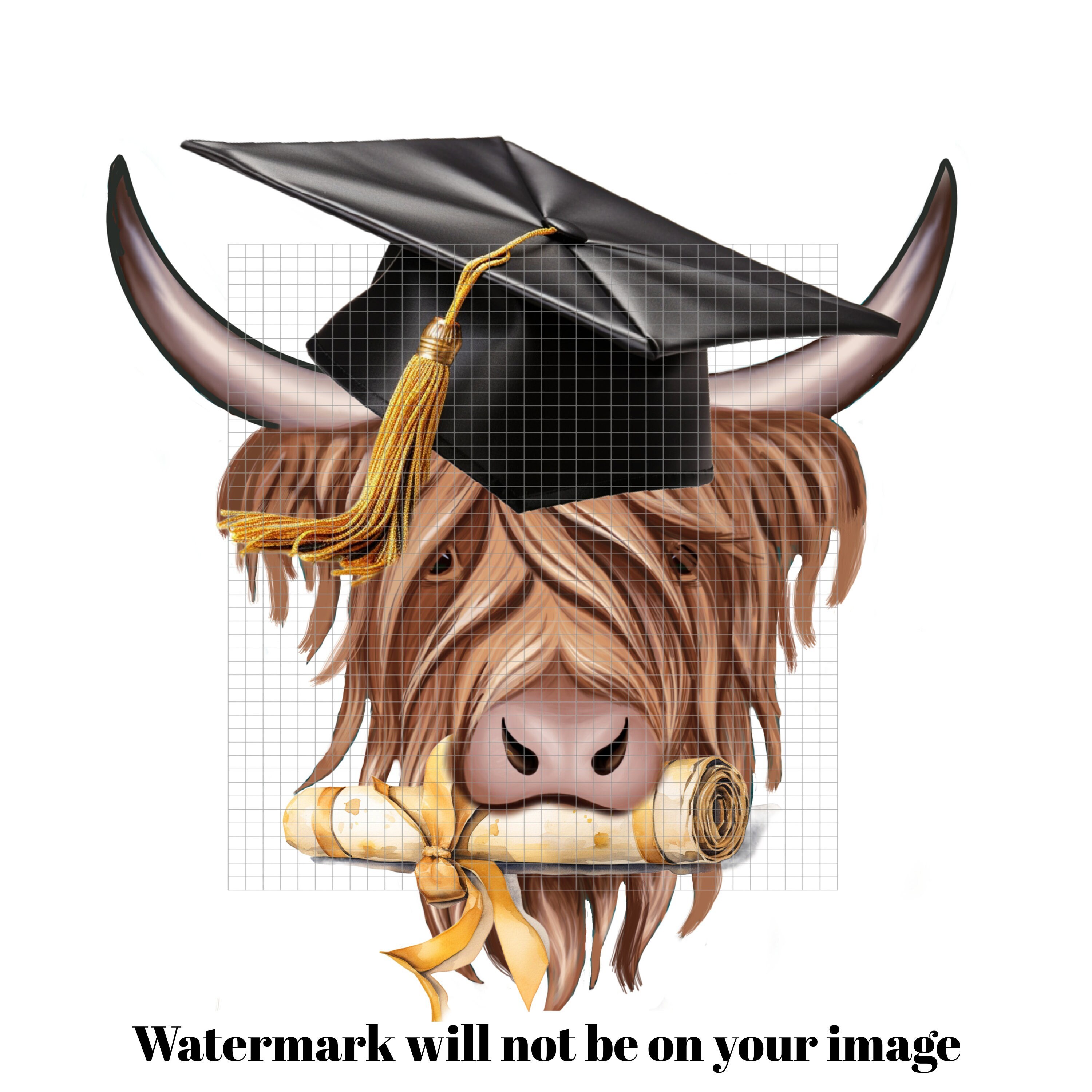Highland Cow Png, Graduation Diploma Digital Download, Graduation ...