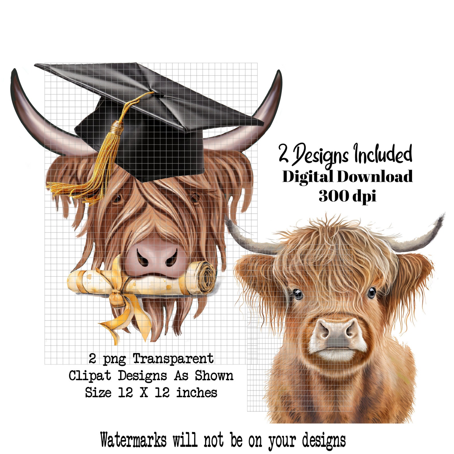 Highland Cow Png, Graduation PNG, Digital Download, Graduation Highland ...