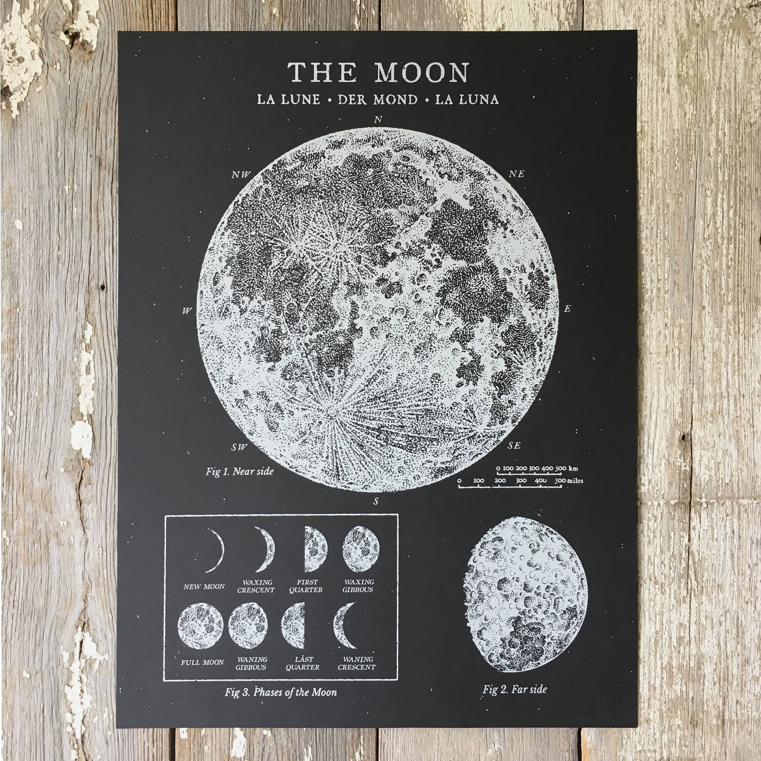Moon Poster | Etsy