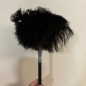 Feather Duster - Etsy