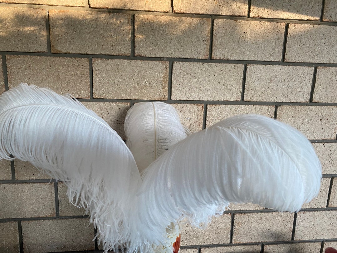 Five 5 Ivory Second Grade Ostrich Wing Plumes 60-70cm - Etsy