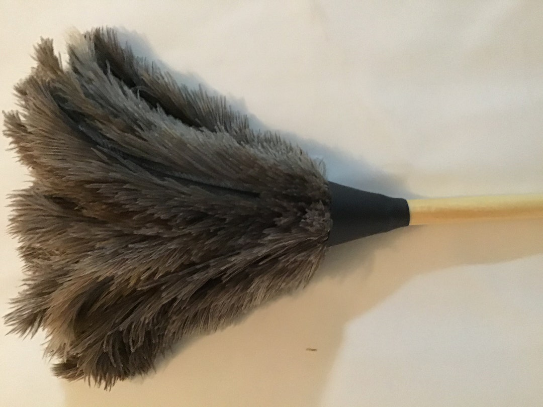 Soft Ostrich Feather Duster 40grm Feather Head 23-25cm Feathers (9-10 ...