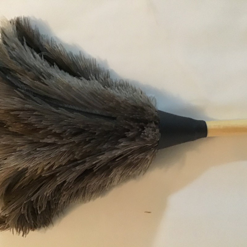 Feather Duster - Etsy