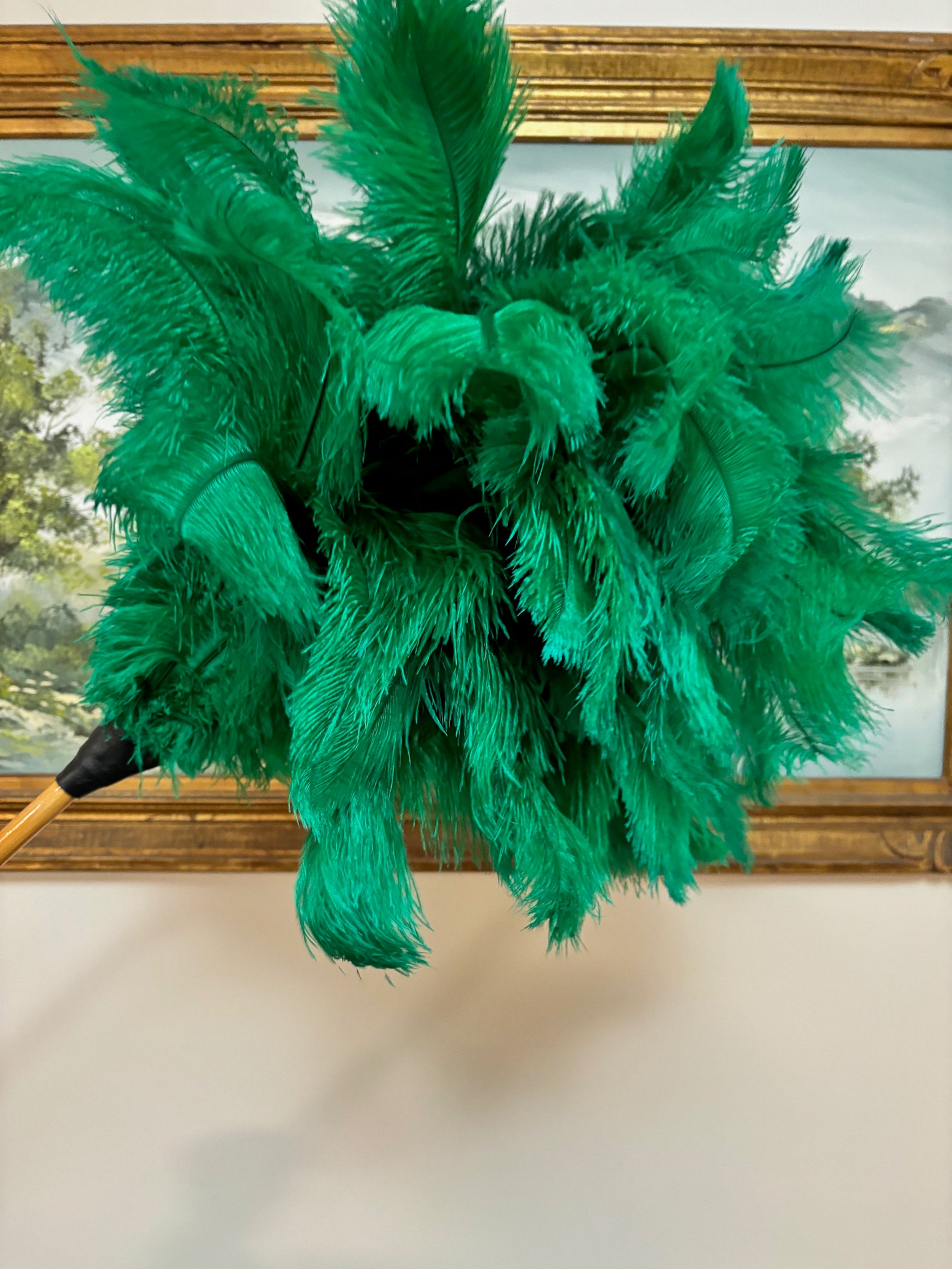 Special Emerald Green First Grade Ostrich Feather Display -85gram First ...