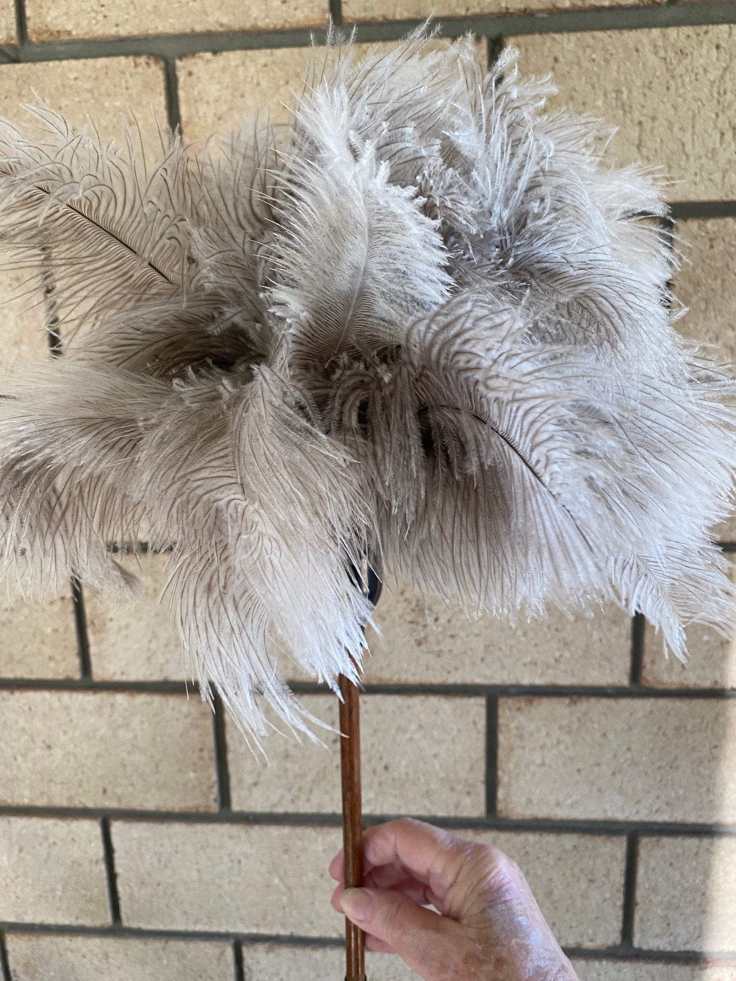 One Soft Light Grey Soft Floss First Grade Ostrich Feather Duster With ...