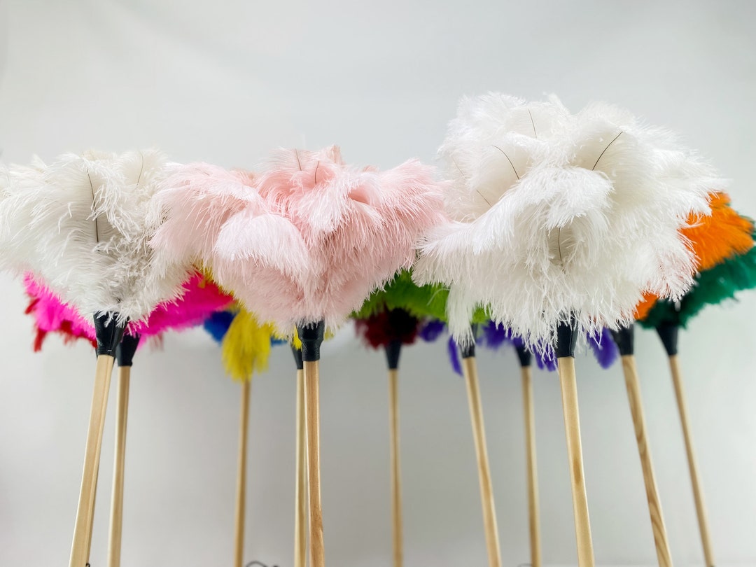 The Perfect Multi Purpose Feather Duster First Grade Quality Choice of ...