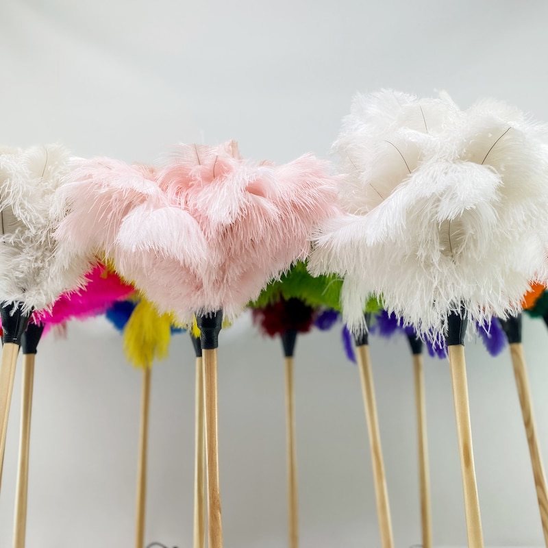 Feather Tickler - Etsy