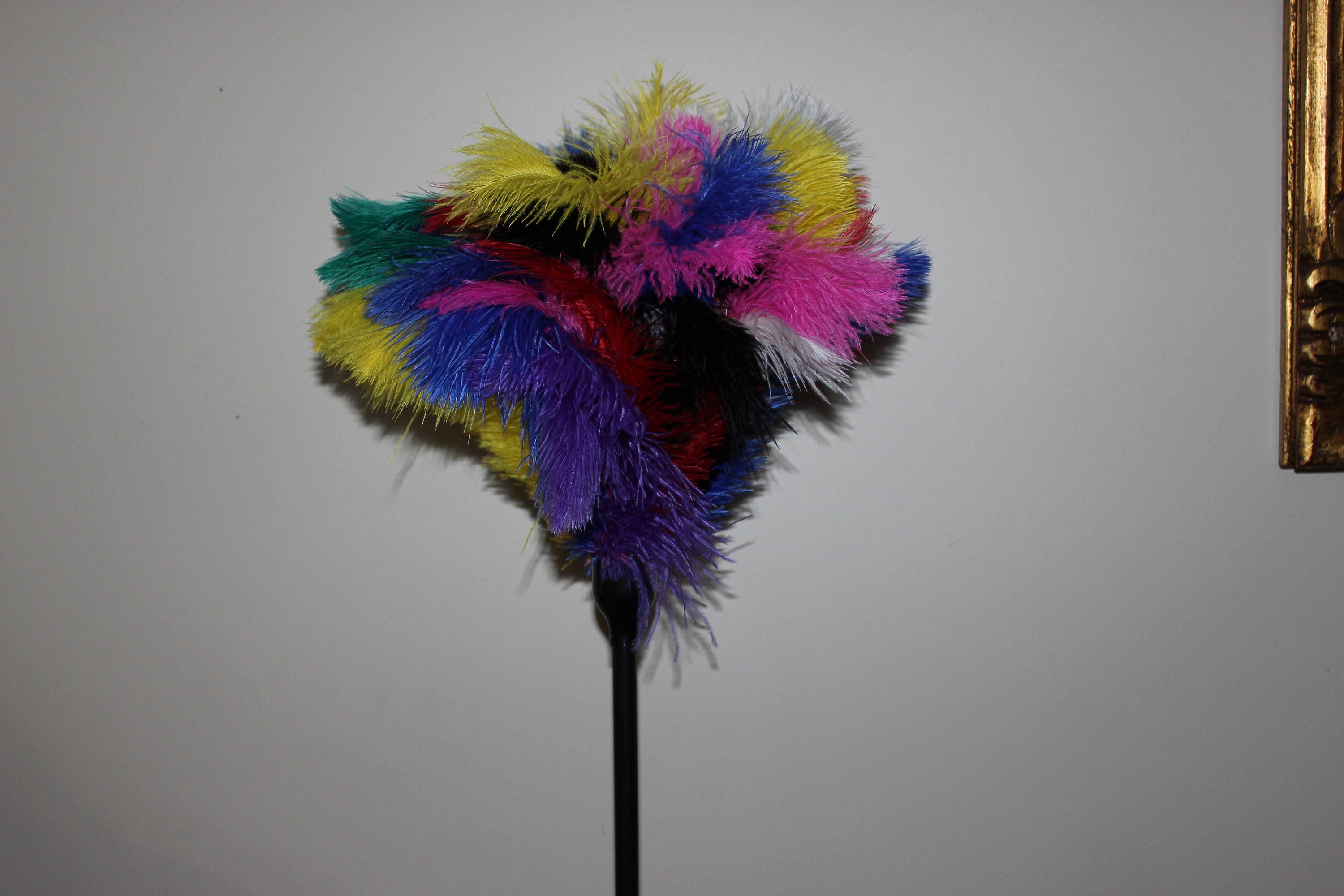 One Rainbow Ostrich Feather Display Duster Soft Ostrich Feathers in ...