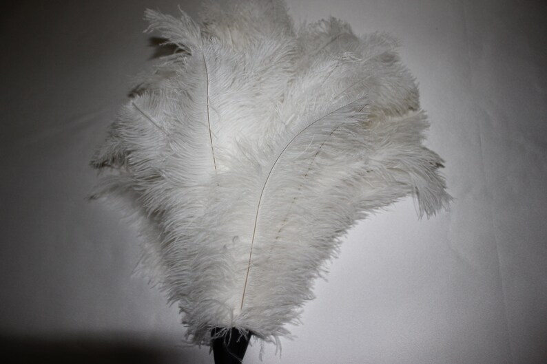 Extra Large Feather Head White Ostrich Feather Display Duster - Etsy