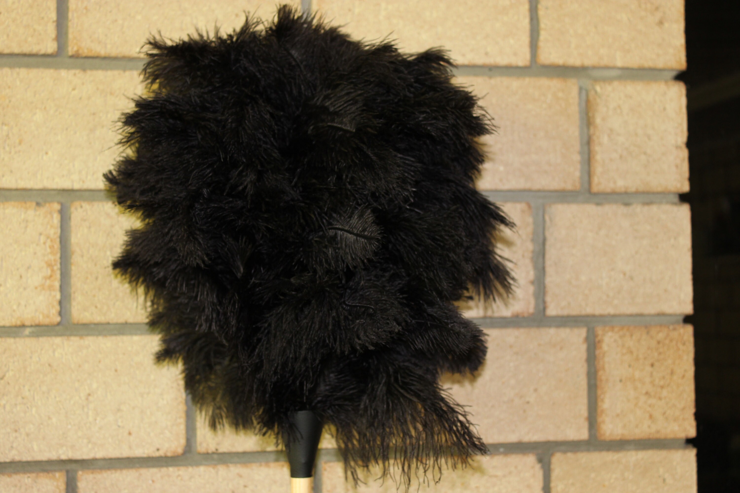 New Design Black Soft Ostrich Feather Car Cleaning Duster With | Etsy