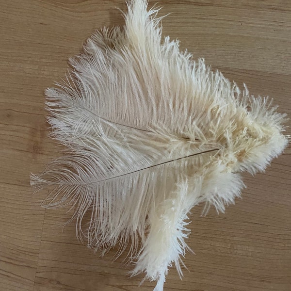 Cream Ostrich Feather - Etsy