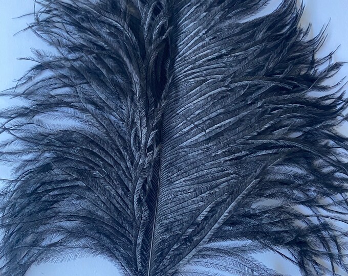 15 Black First Grade Ostrich Feathers 20cm - Etsy
