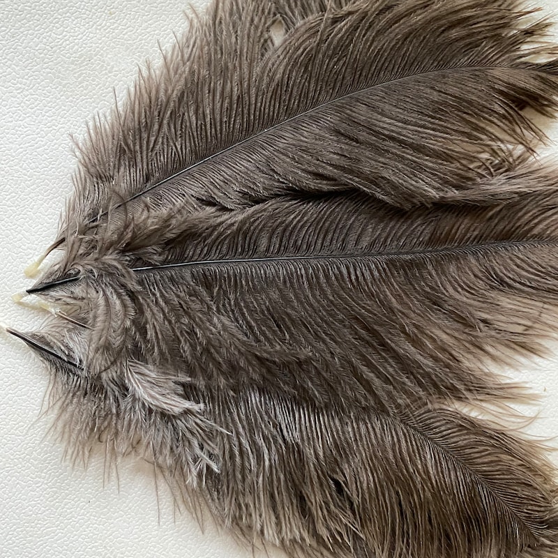 Floss Ostrich Feathers - Etsy UK