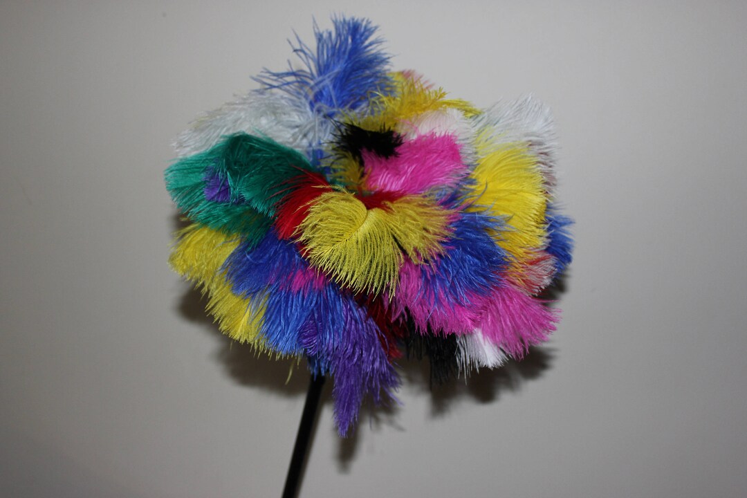 One Rainbow Ostrich Feather Display Duster Soft Ostrich Feathers in ...