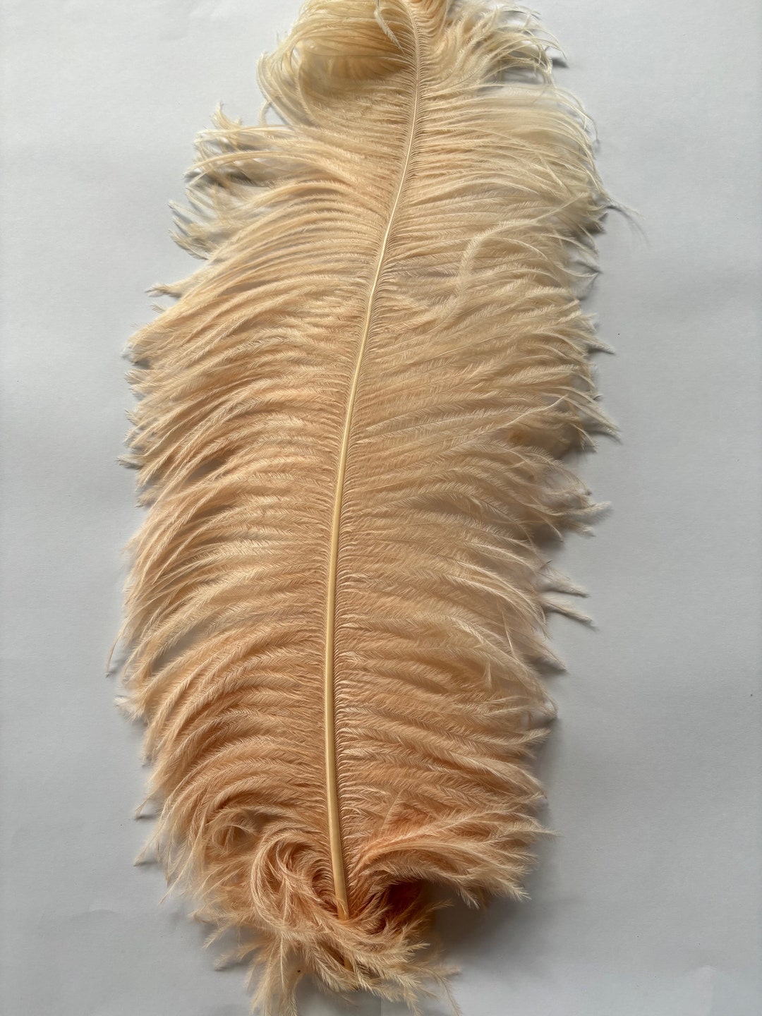 25 Blush Pink Ostrich Feather Wing Plumes First Grade 60-70cm - Etsy