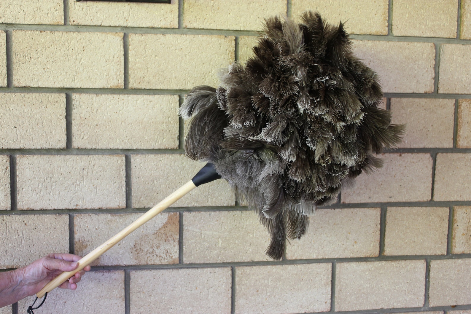 New Design Model Car Cleaning Ostrich Feather Duster With 100 Grm ...