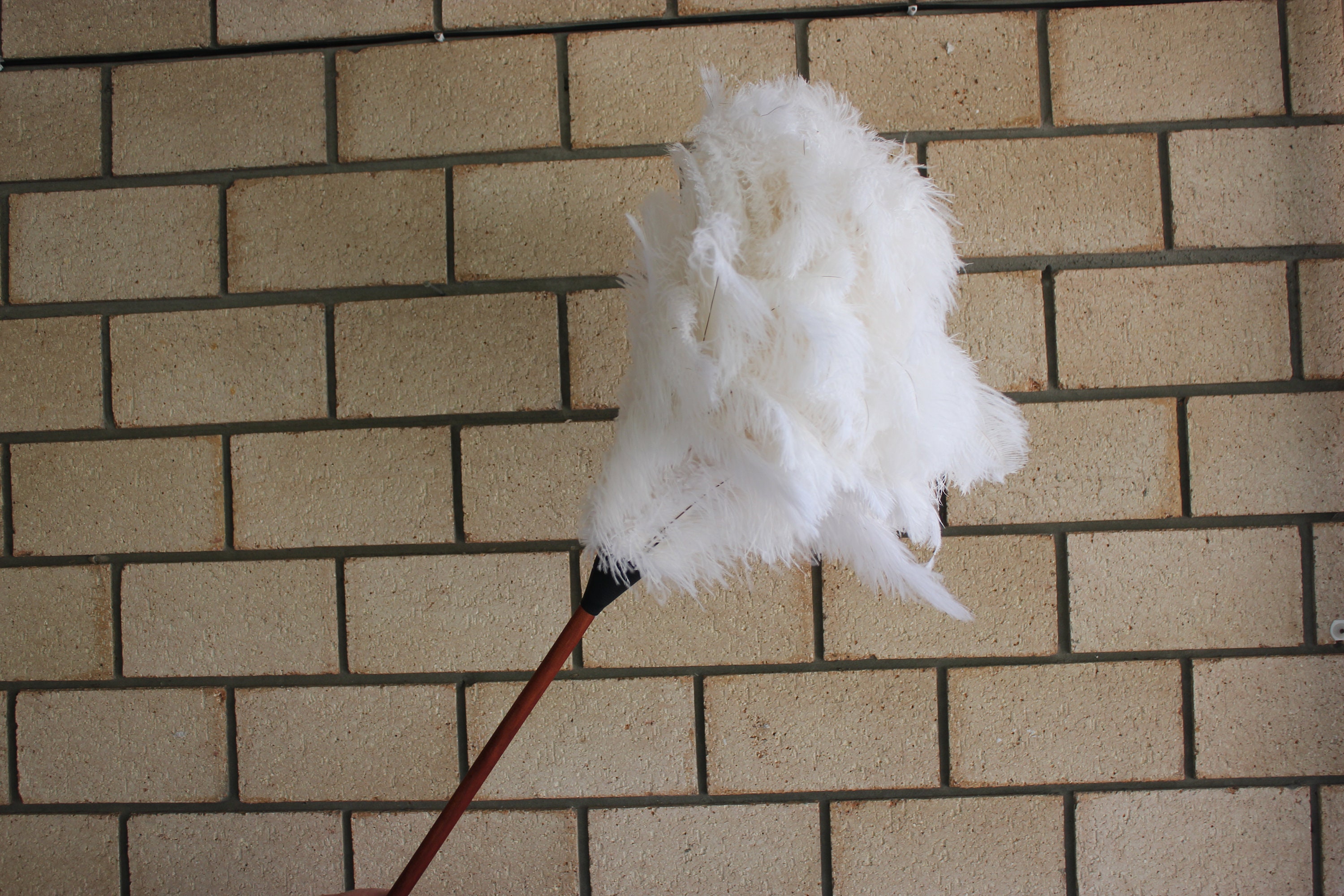 Extra Large Feather Head White Ostrich Feather Display Duster | Etsy