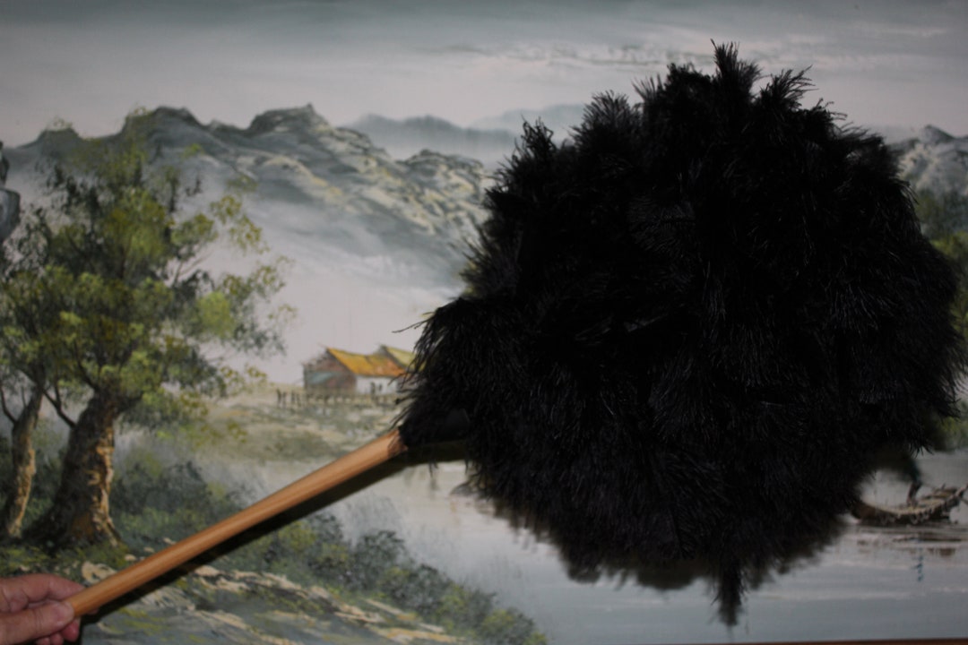 New Design Black Soft Ostrich Feather Car Cleaning Duster With - Etsy