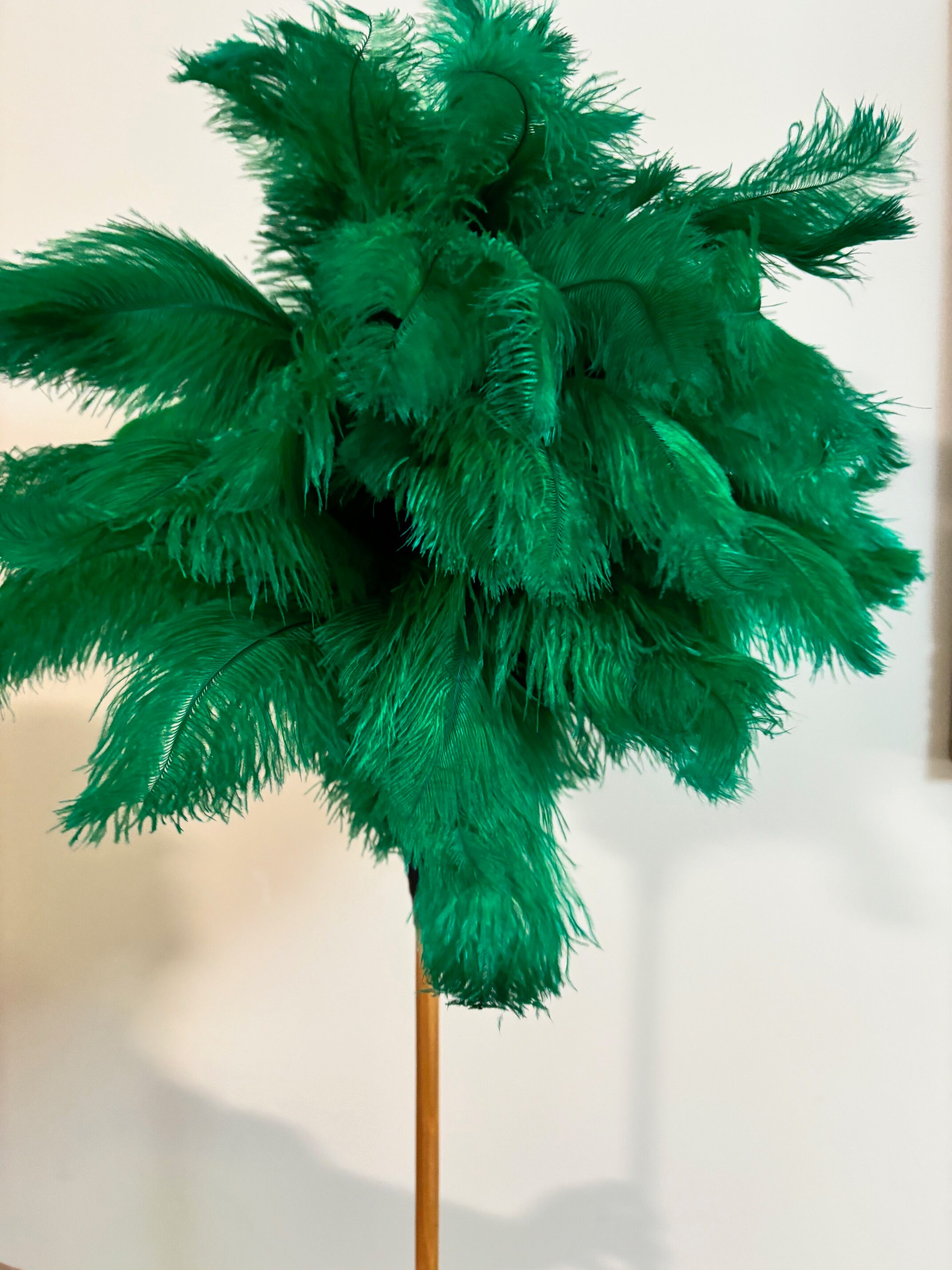 Special Emerald Green First Grade Ostrich Feather Display -85gram First ...