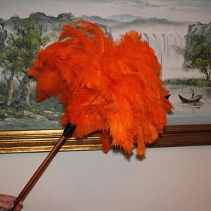 Orange Soft Large Ostrich Display Duster 100grm Feather Head Wood ...