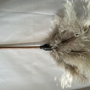 One Soft Light Grey Soft Floss First Grade Ostrich Feather Duster With ...