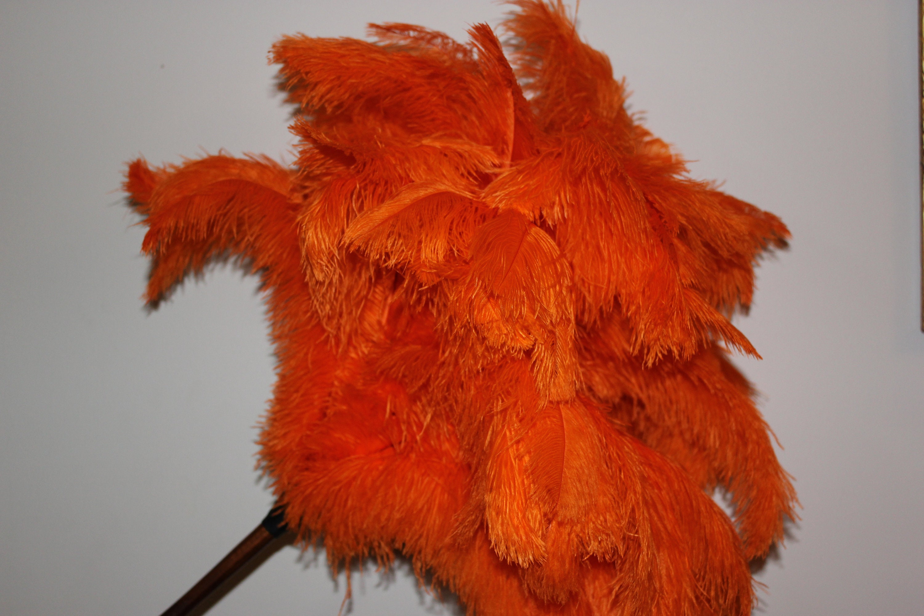Orange Soft Large Ostrich Display Duster 100grm Feather Head Wood ...