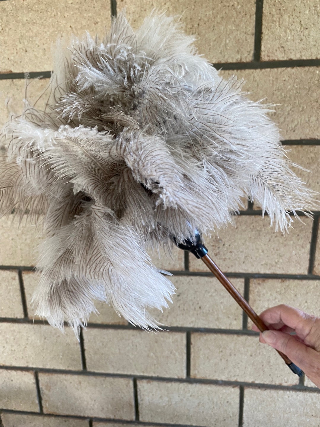 One Soft Light Grey Soft Floss First Grade Ostrich Feather Duster With ...
