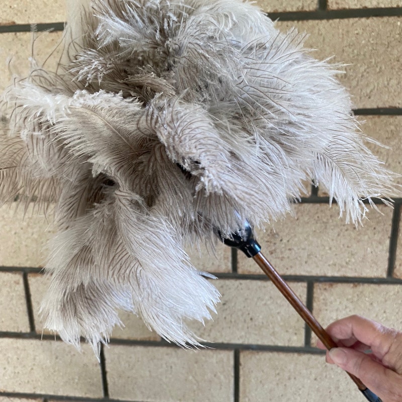 Ostrich Head Light - Etsy