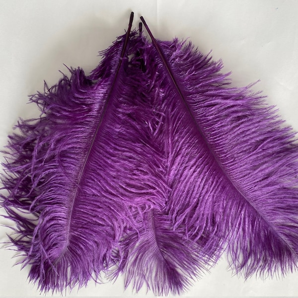 Purple Feathers - Etsy