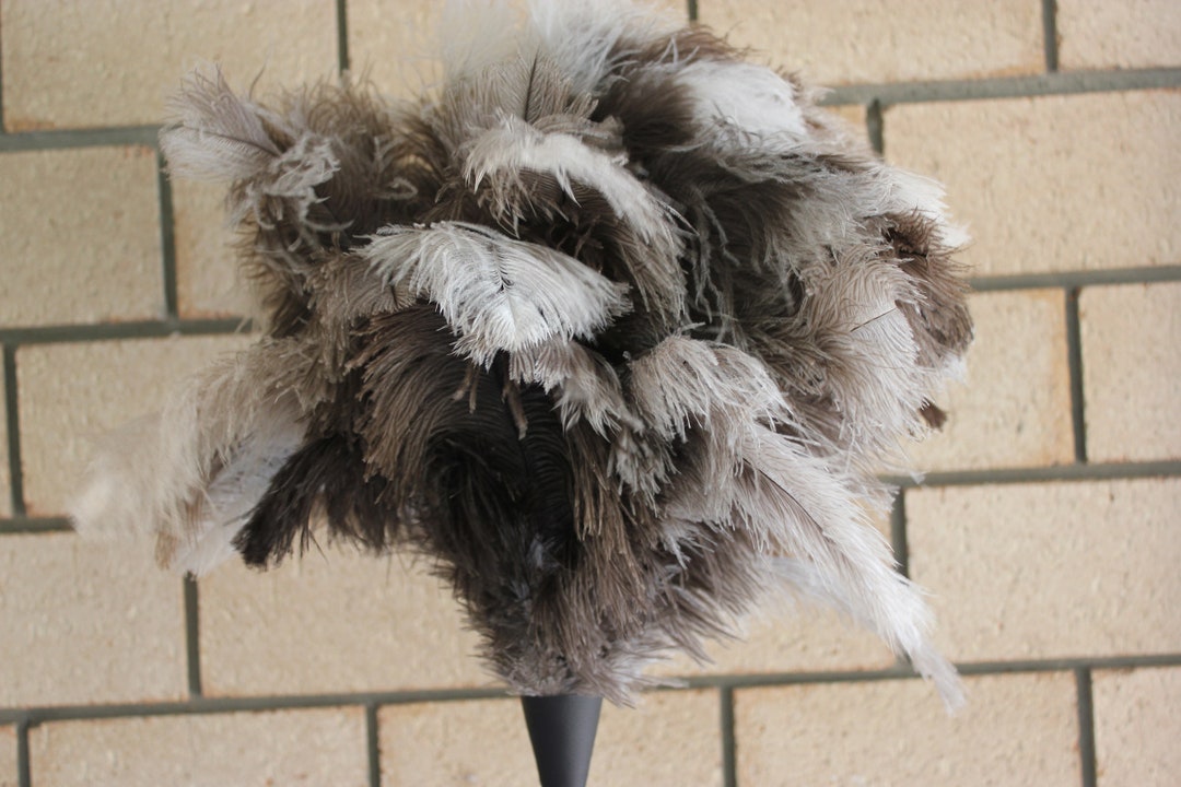 Extra Large Soft Full Head Ostrich Feather Duster Clear Gloss Wood ...